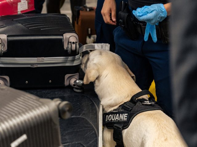 Paris-CDG : le boom des "mules" qui transportent de la drogue | Air Journal