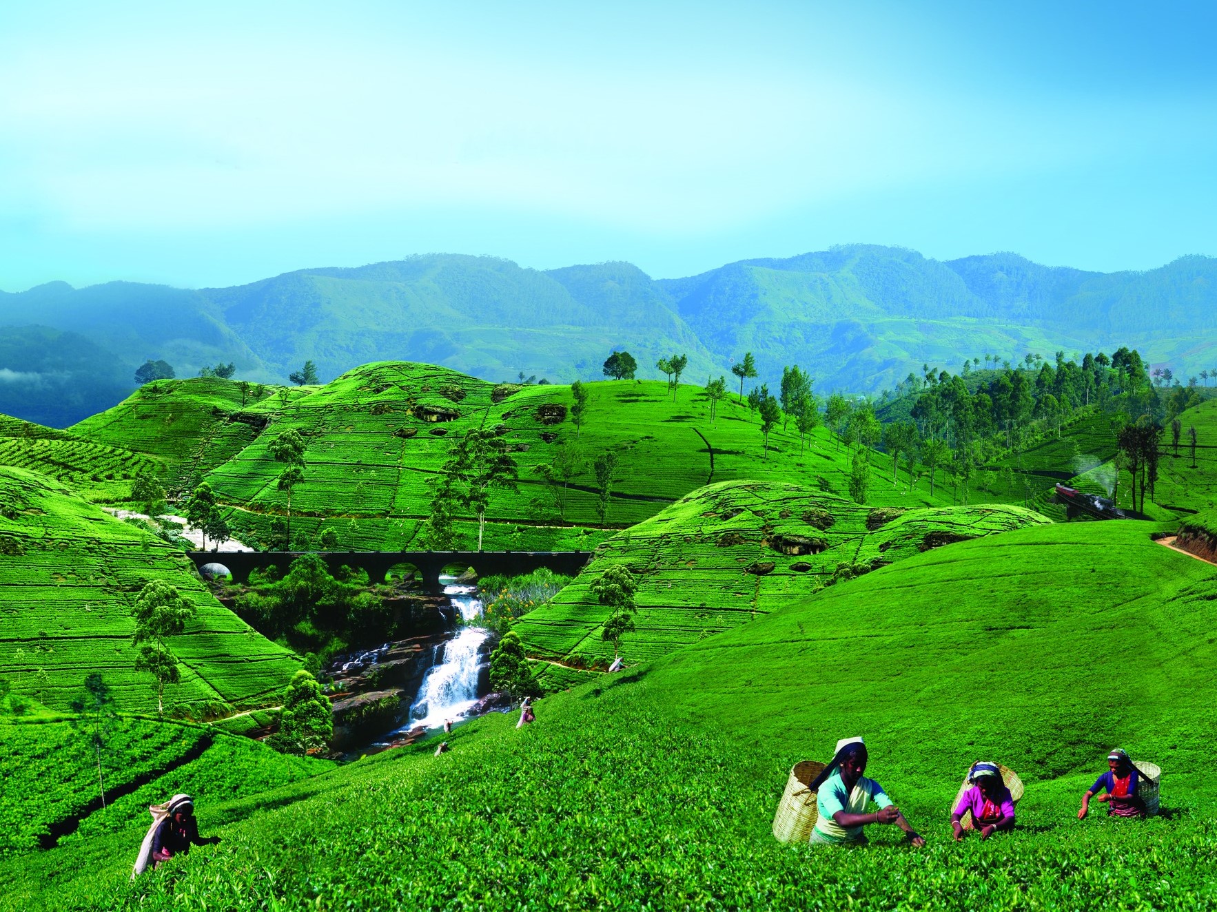 Tourisme au Sri Lanka : le grand retour de la « perle de l’océan Indien ...