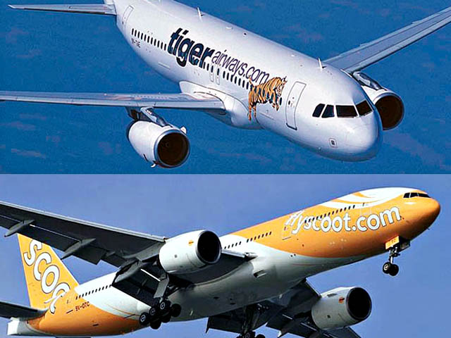 Alliance low cost entre Tiger Airways et Scoot | Air Journal